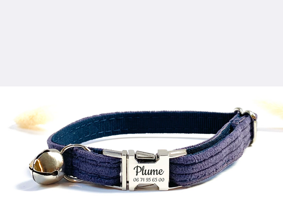 Colliers personnalisés chats – Bande de Canailles