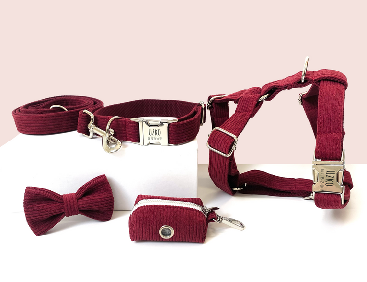 Accessoires pour chiens et chats personnalisés en France – Bande de ...