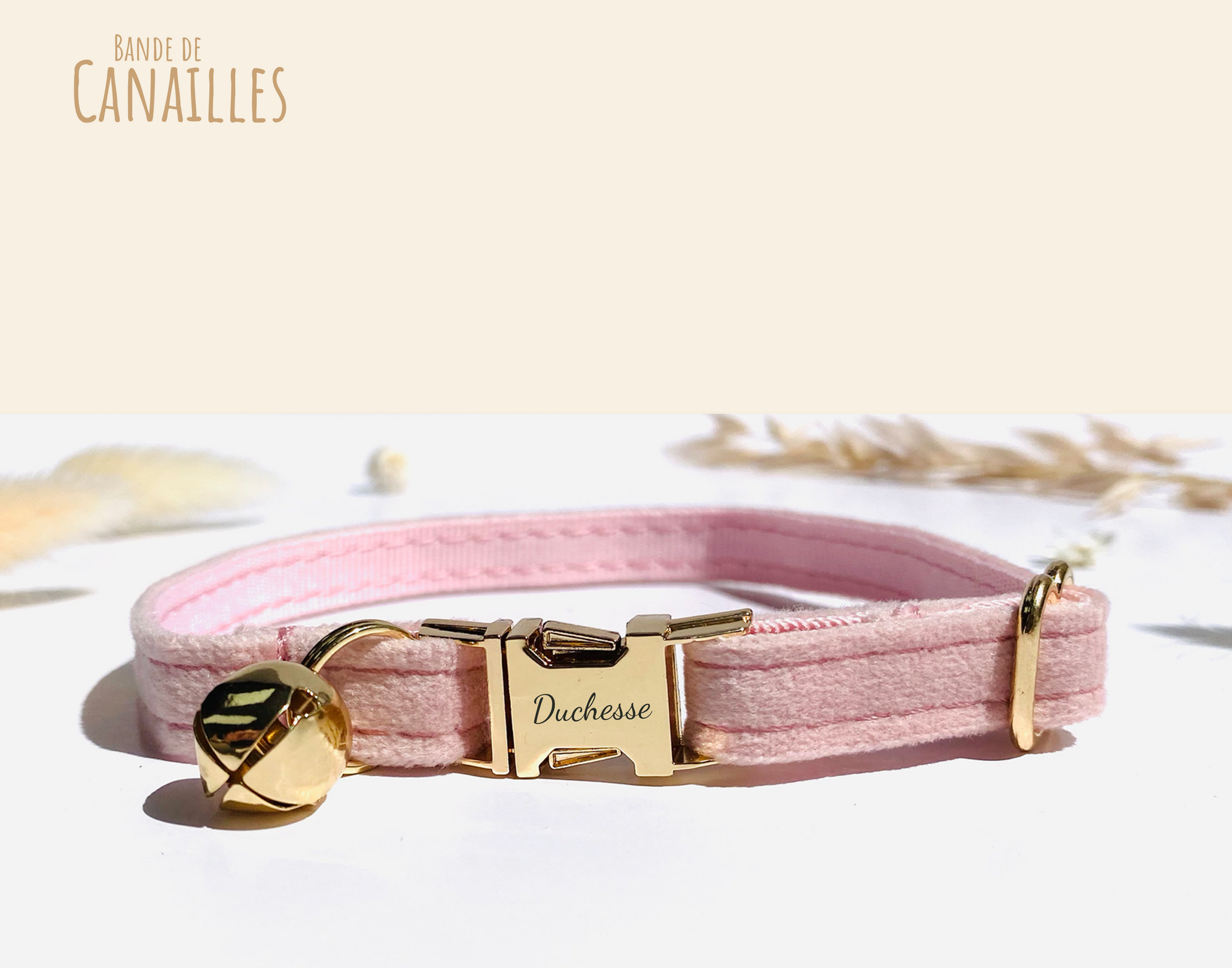 Collier Chat Personnalisé Velours Lisse Rose – Bande de Canailles
